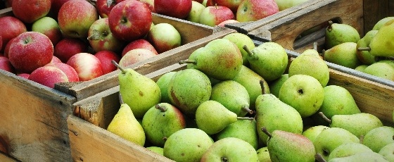 Final Reminder: Have Your Say in Safe Food for Canadians Act Review ...